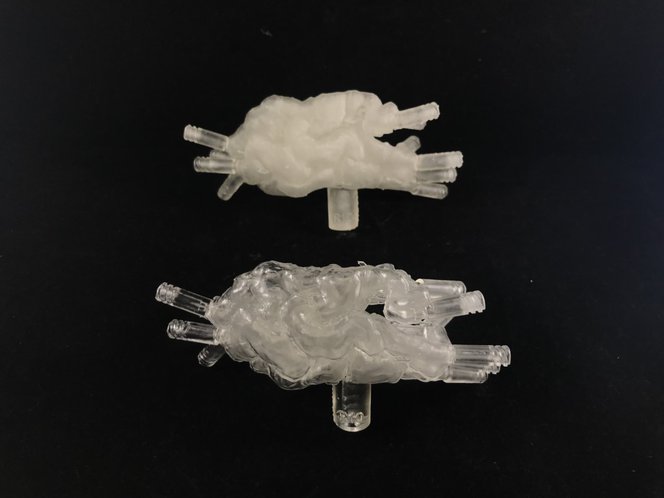Form 3 vs Form 2: Customers Highlight Changes With Real-Life Examples ...
