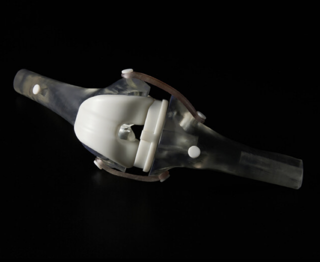 Creating Bone Simulation Models For Cutting And Drilling Formlabs