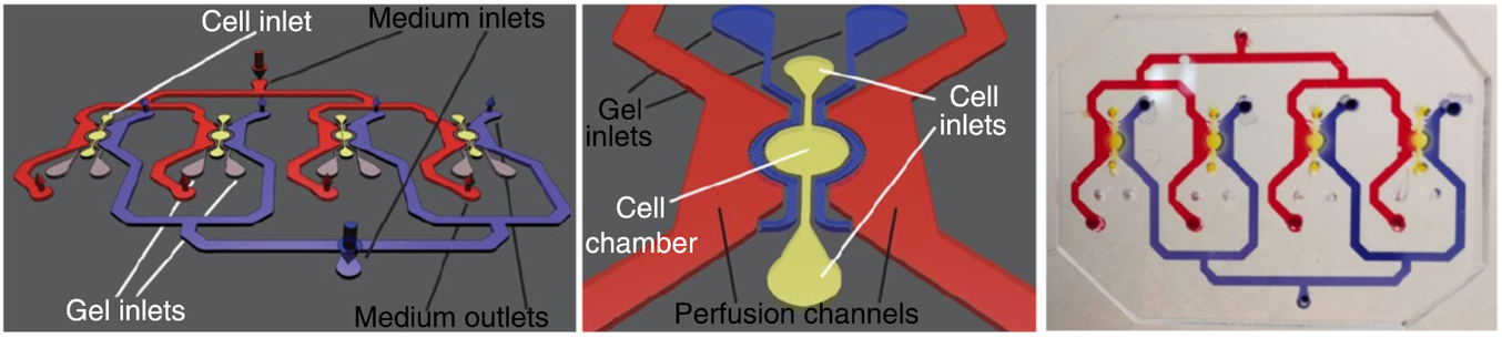Guide to Microfluidics and Millifluidics, and Lab-on-a-Chip Manufacturing
